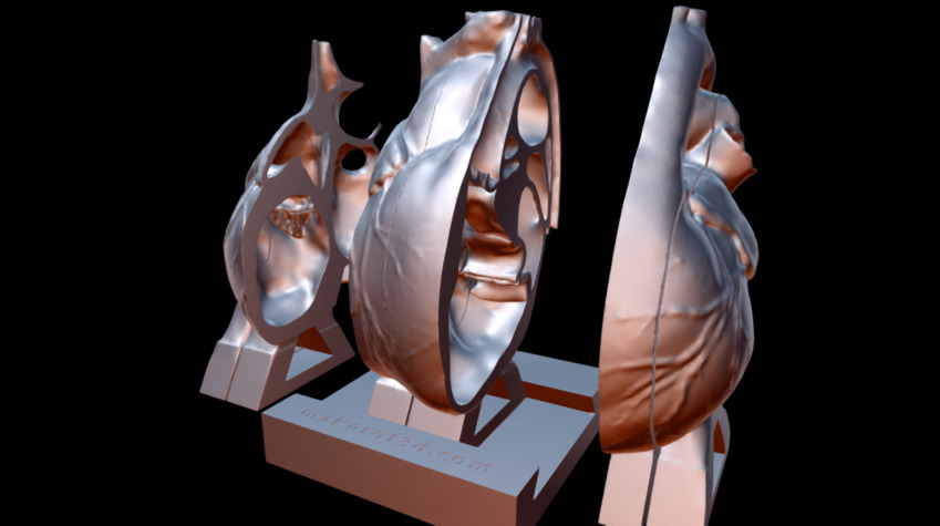 # 001 Heart Slider Open - 3D model by makerof3d [5987056] - Sketchfab