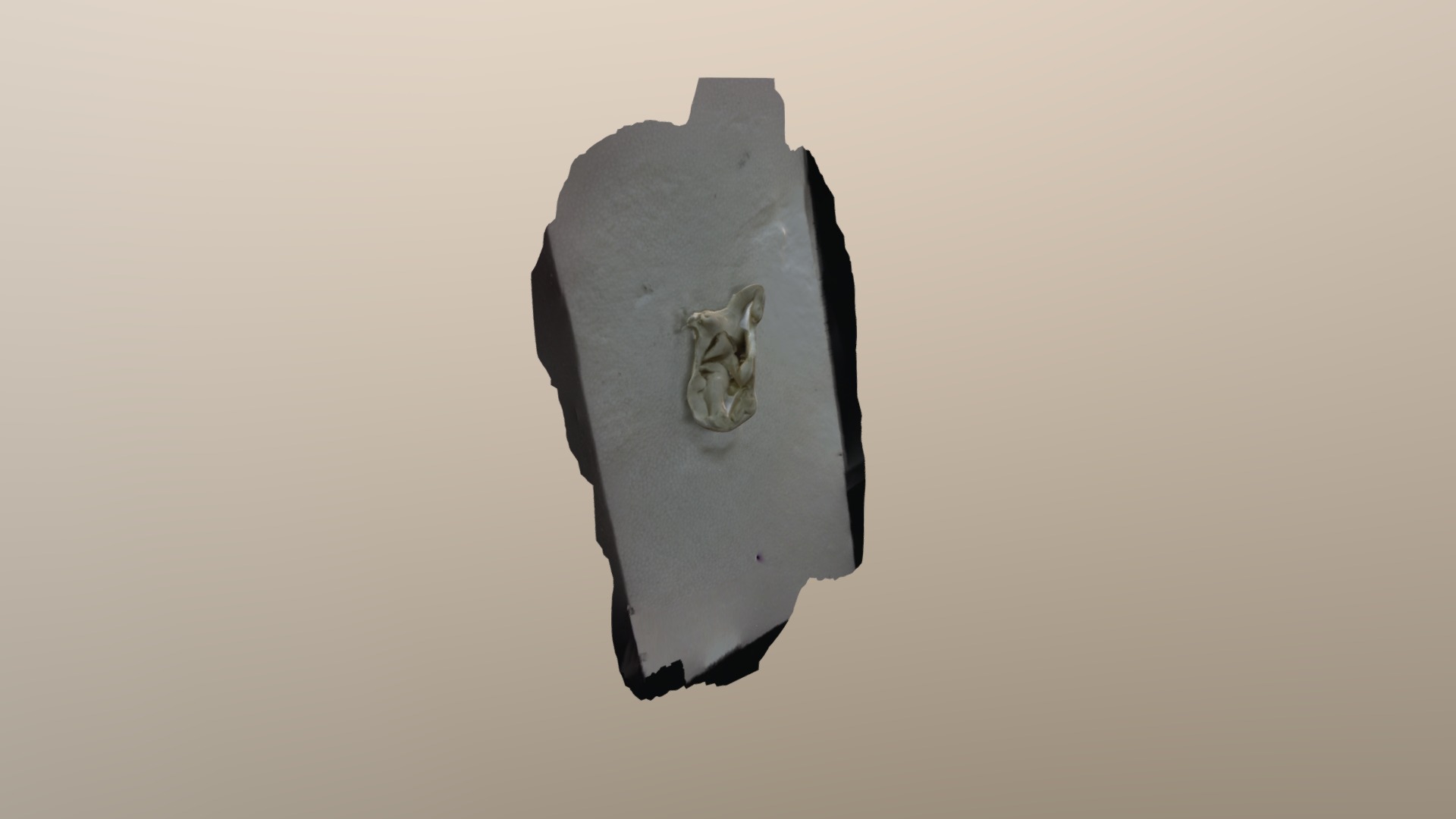 hope - Download Free 3D model by caitlinroy [598a22a] - Sketchfab