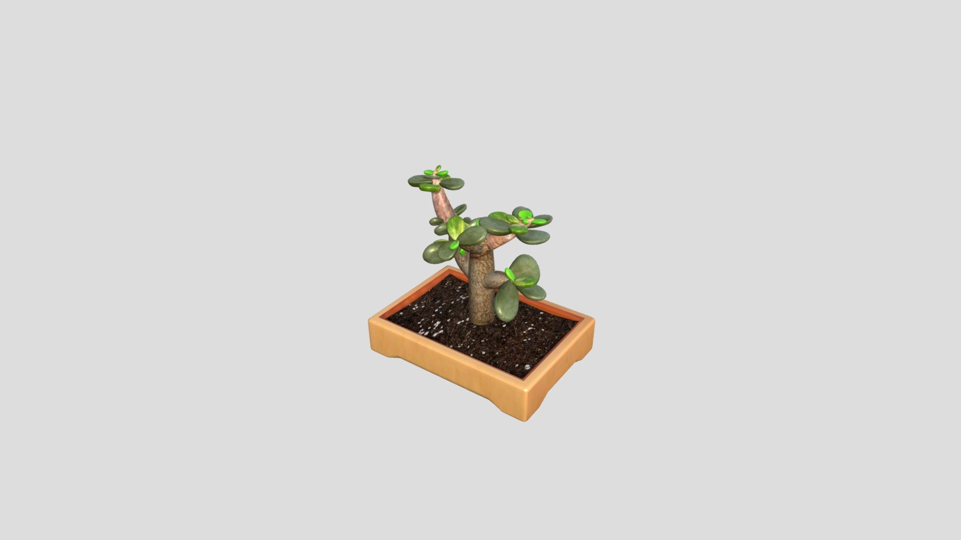 Week_8_Plant_project_Levi_Gill - Download Free 3D model by leviRgill ...