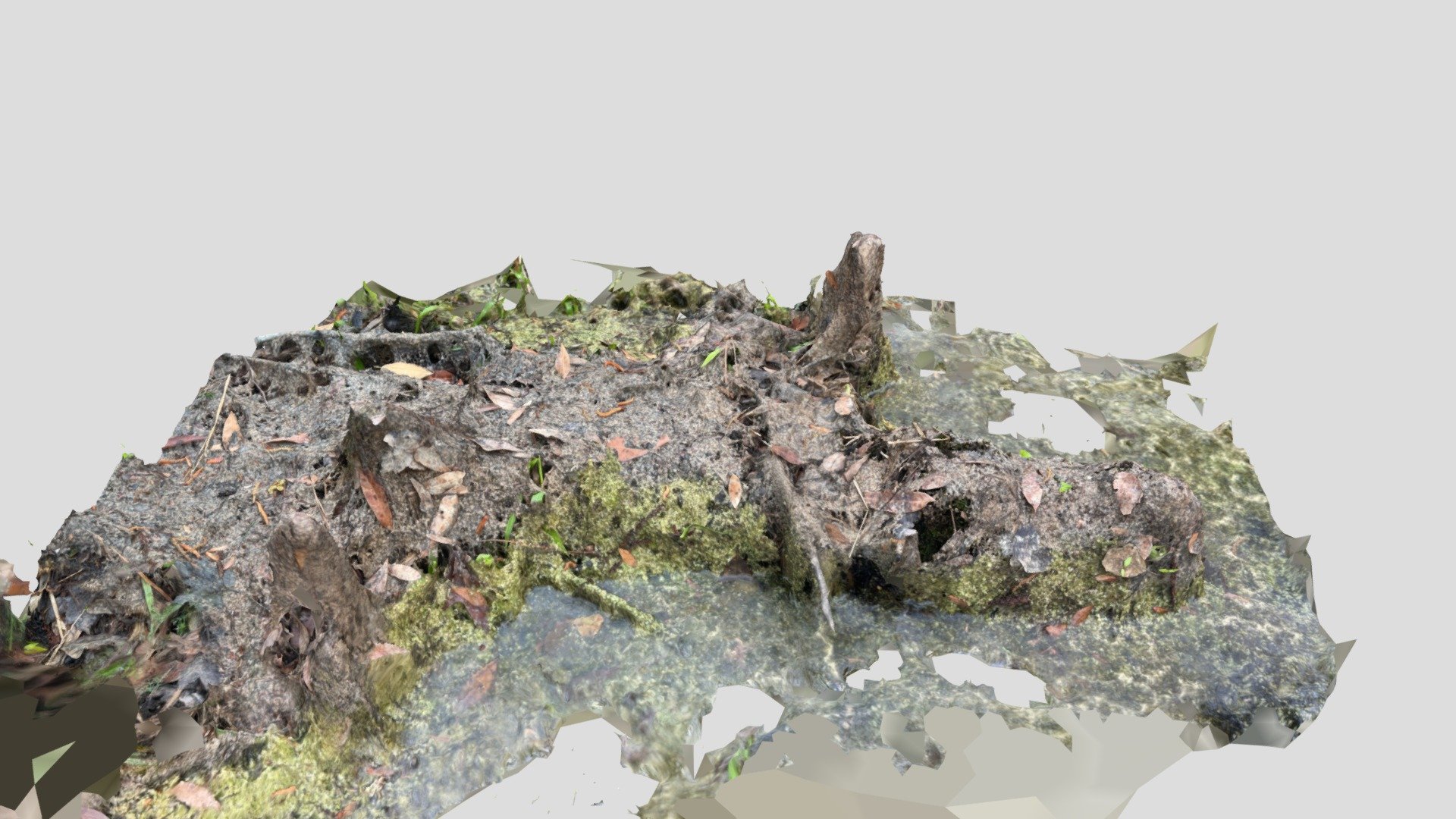 Swamp Waters Edge - Download Free 3D model by emcderm [598da56] - Sketchfab