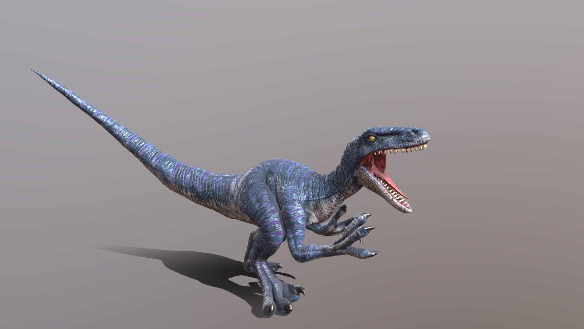 Velociraptor - Download Free 3D model by absol (@absol_cg) [59910f5 ...