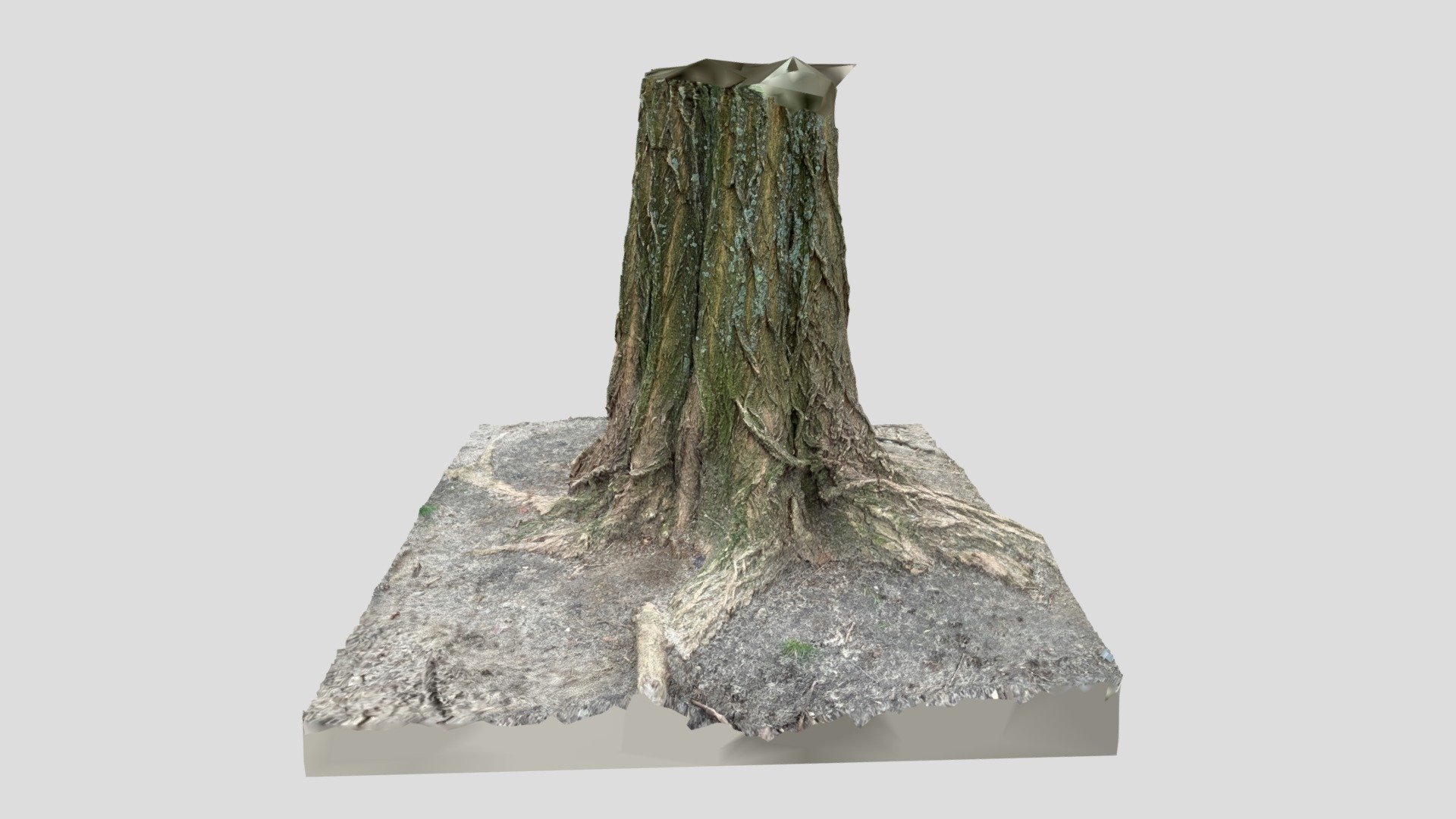 TreeBark_02 - 3D model by izabelamaliszewska0 [599e096] - Sketchfab