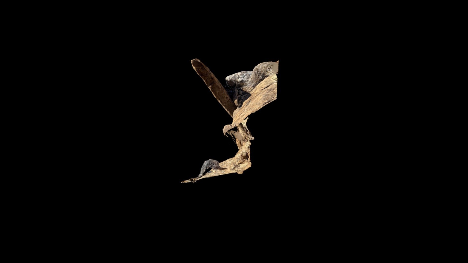 Ripple Marks, Iron Springs Formation - Download Free 3D model by ...