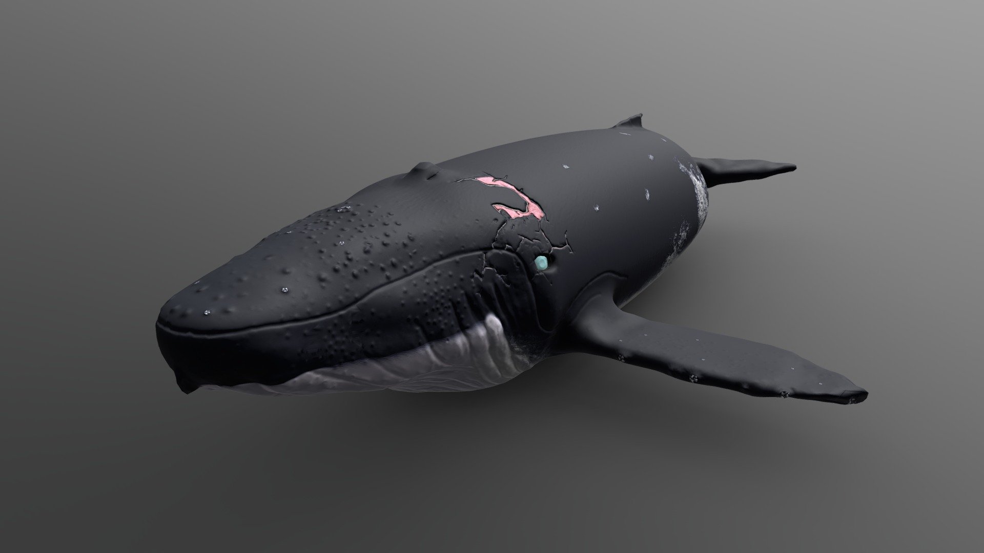 HumpBackWhale - 3D model by SoapSniffer (@VictorHauland) [59abf7a ...