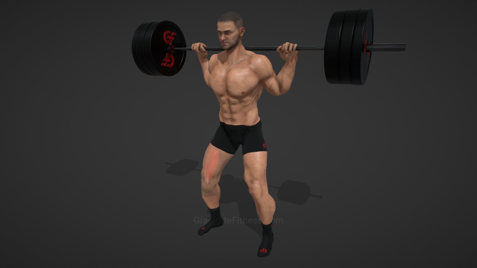 01. Barbell Back Squat (AR) - 3D model by 3DMuscleModel [59aff71 ...