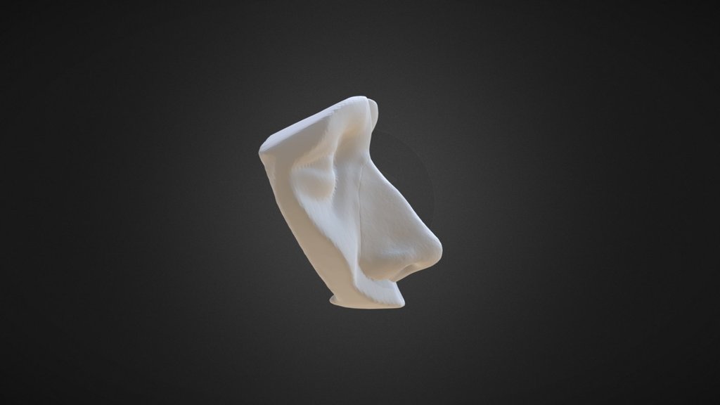 Face with Nose No colour - 3D model by Belal Kamel (@belal) [59b0a2c ...