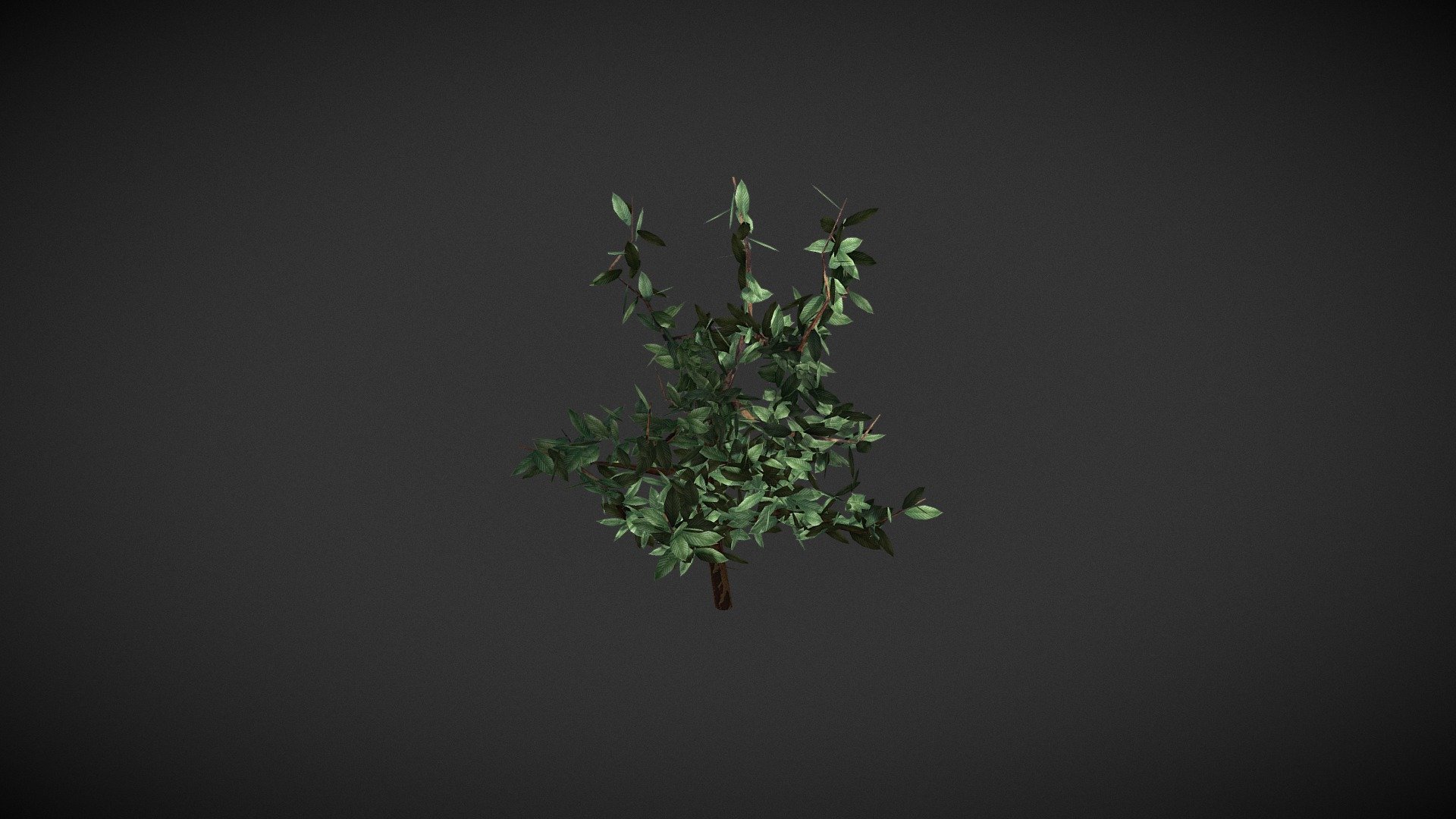 Bush 2 - 3D model by TacticalMinionz [59b61d3] - Sketchfab