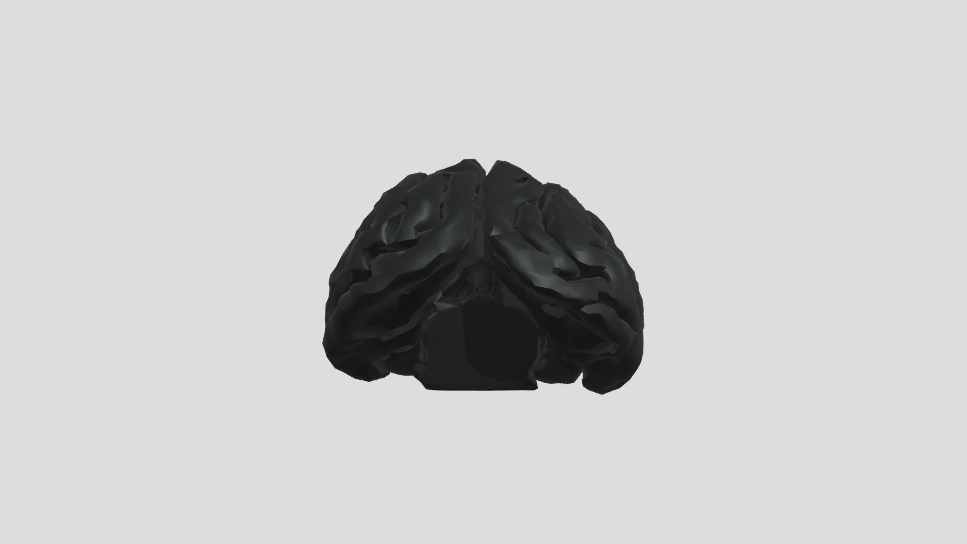 Leopard Brain - Download Free 3D model by ekrueger-UEL (@ekrueger ...