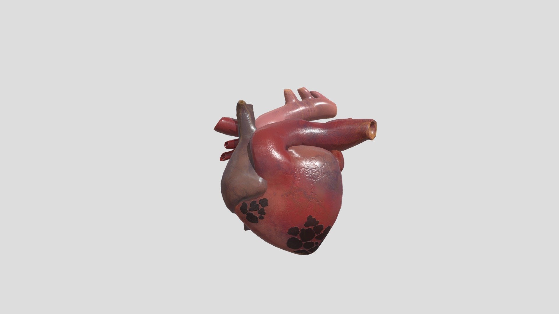 Heart Model - 3D model by Ryukai drysdale (@Ryukai407) [59c0367 ...