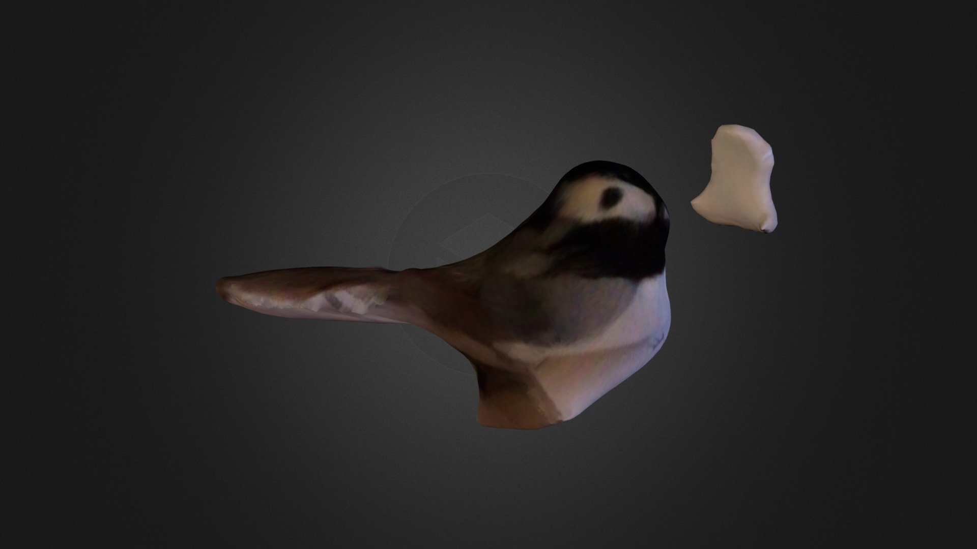 bird - 3D model by kelseycd [59cf23d] - Sketchfab
