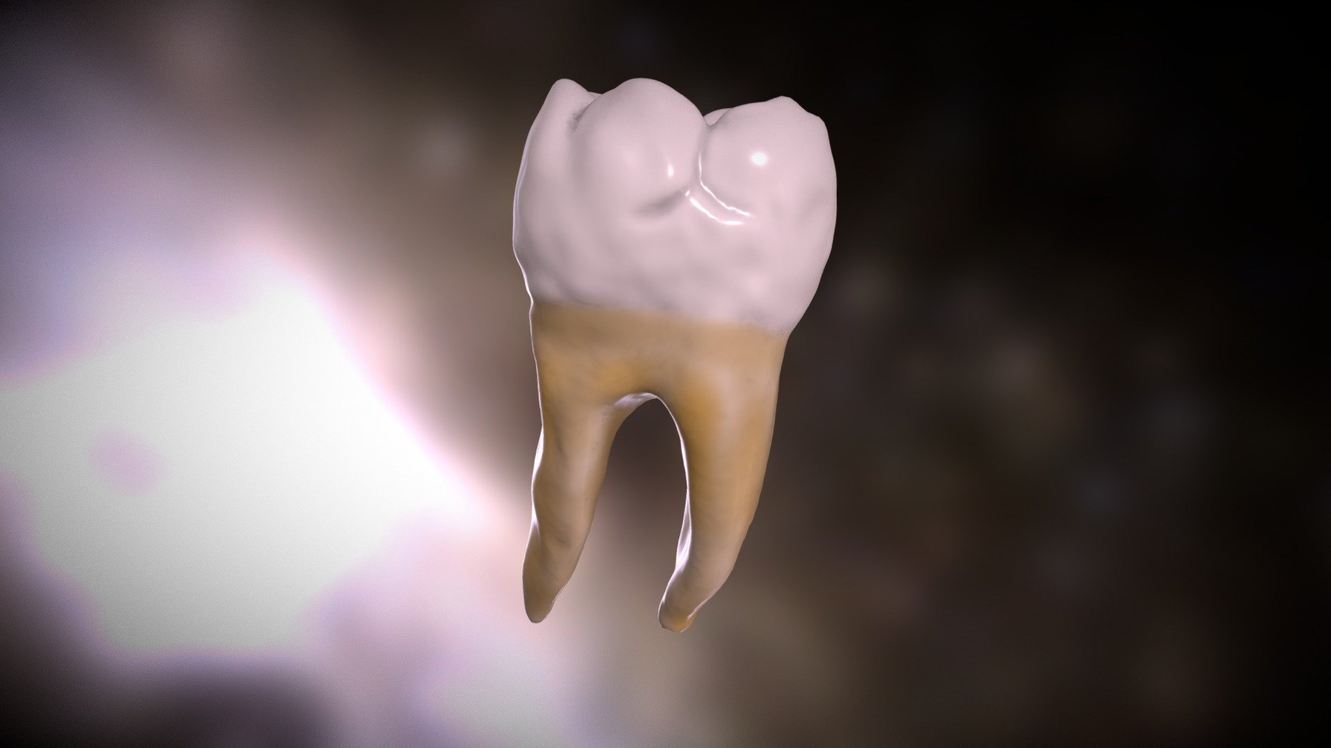 Molar 6 - 3D model by DH-ILUSTRATION (@danielrodrigo95) [59d175d ...