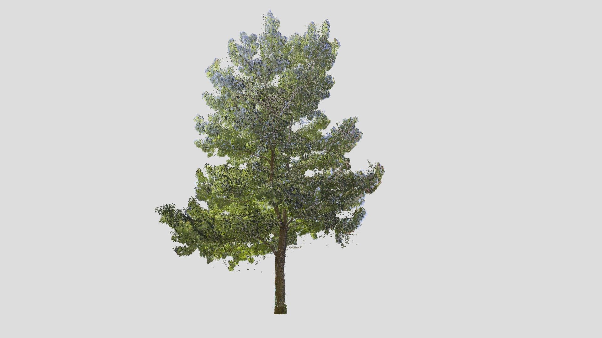 Tree Point Cloud - Buy Royalty Free 3D model by magnum_opus (@tree ...