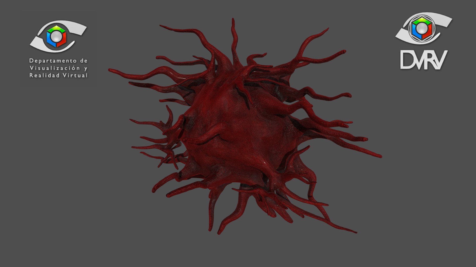 Acanthamoeba - 3D model by UNAM | DGTIC | DITE | DRDE (@DRDE_UNAM ...