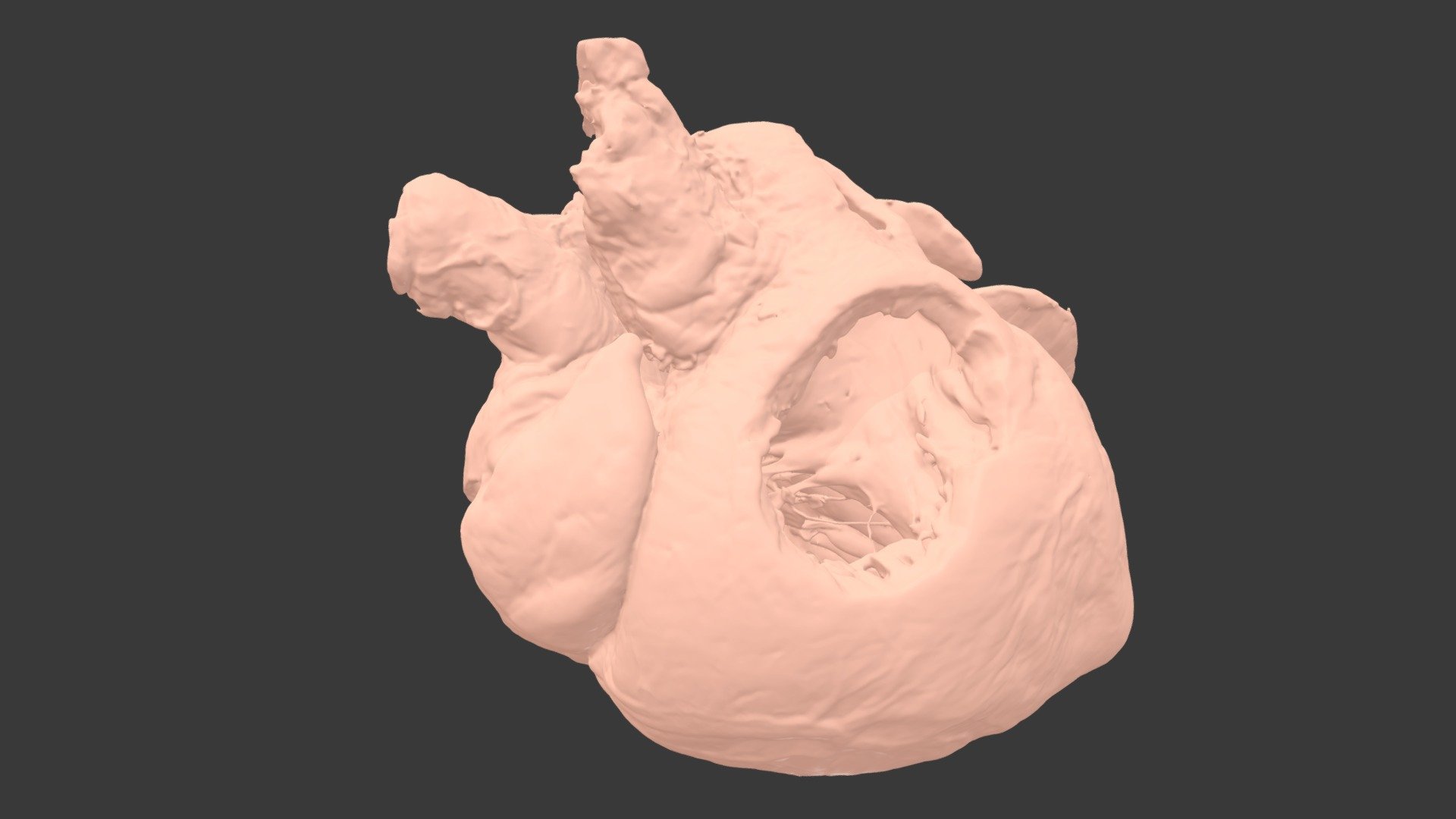 Normal #9 - Normal heart {S,D,S} - 3D model by heartmodels [59dd599 ...
