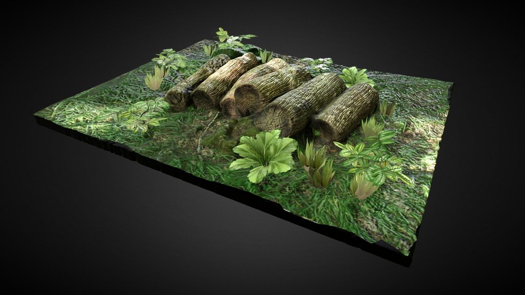 Forest Cut - Download Free 3D model by Francesco Coldesina ...