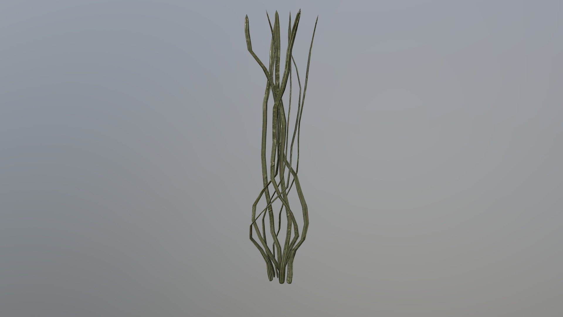 Seaweed 3 - 3D model by JenniferF (@Jennifac) [59e57a6] - Sketchfab
