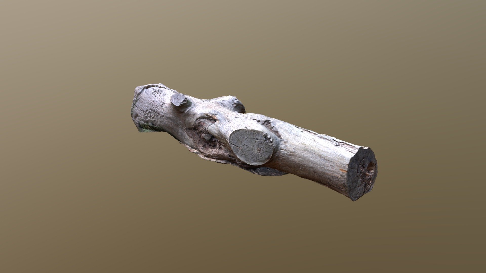 Tree Trunk Log / Natural Park Bench - Download Free 3D model by Cameron ...