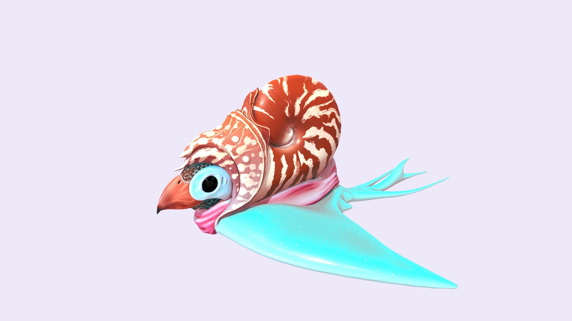 Nautilus Bird - 3D model by meaghansearle [59f213c] - Sketchfab