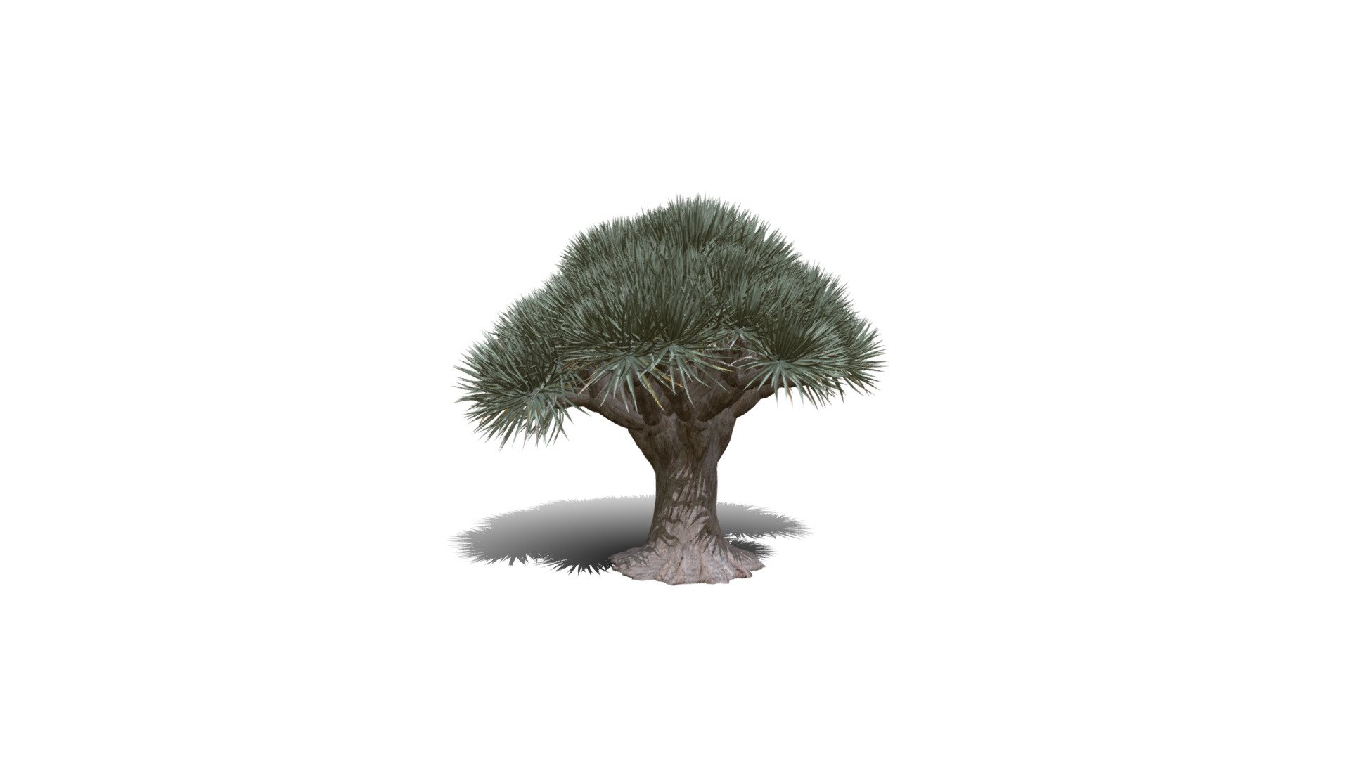 Realistic HD Dragon tree (35/50) - Download Free 3D model by ...