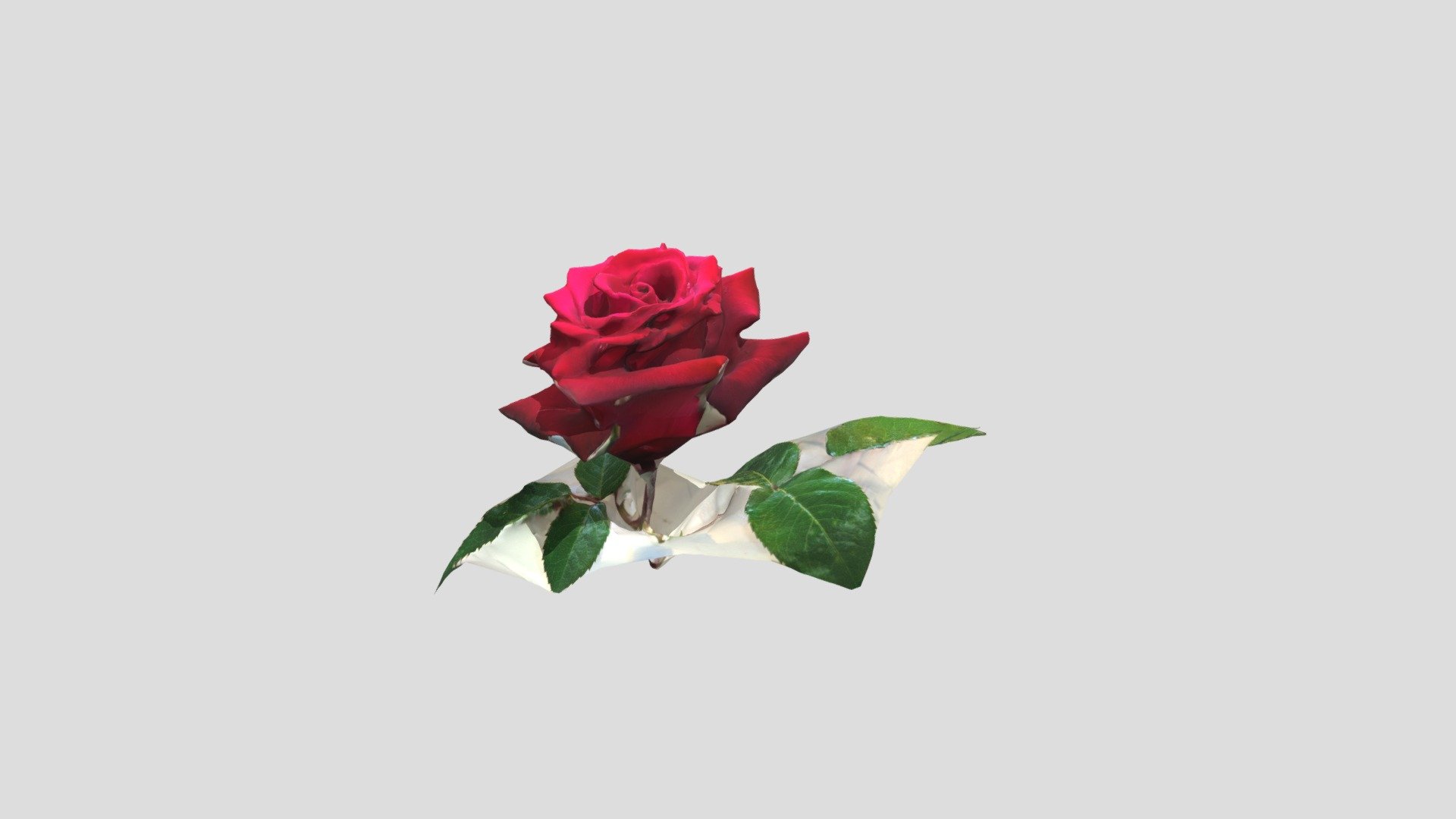 Rose Model - 3D model by PatrickKenny [59fa6f1] - Sketchfab