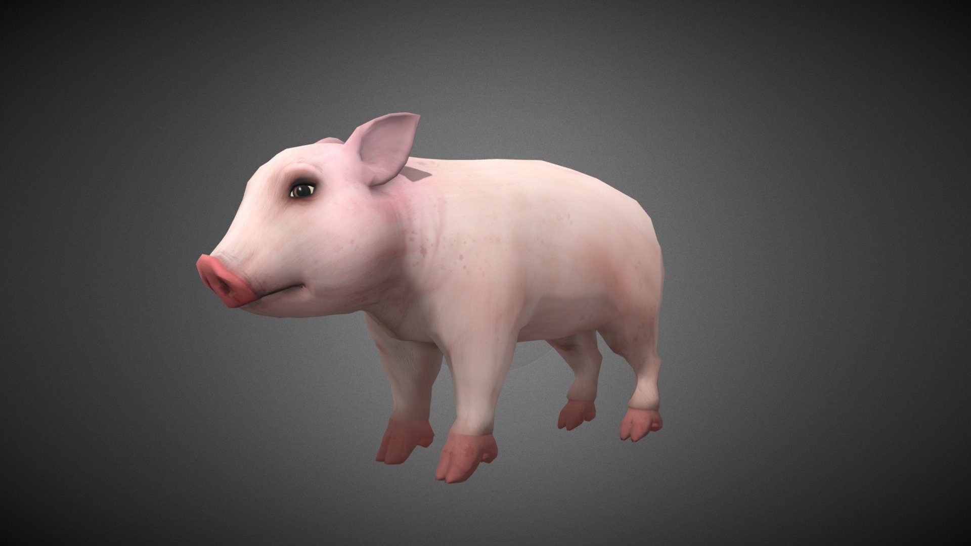 cartoon Pig - Buy Royalty Free 3D model by tingting_er [5a050fd ...