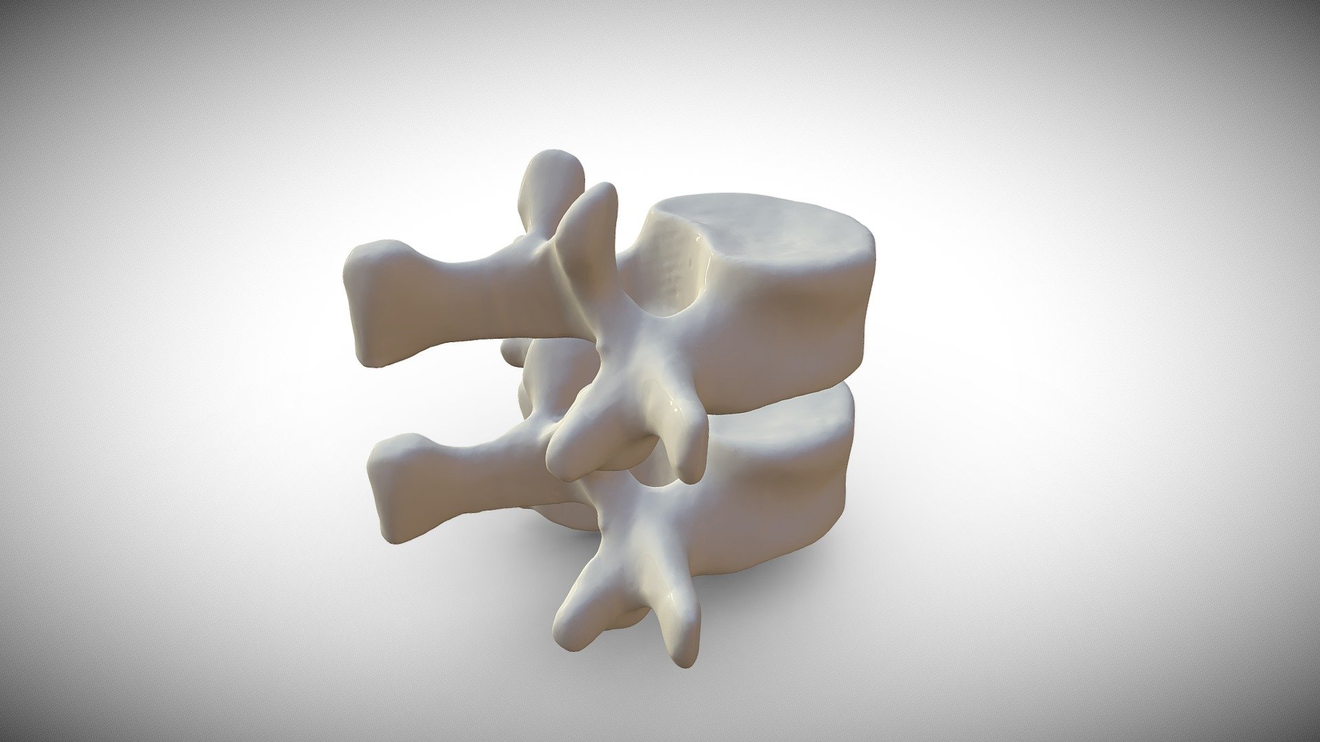 Vertebra - Download Free 3D model by Aquateknica [5a0d5b2] - Sketchfab
