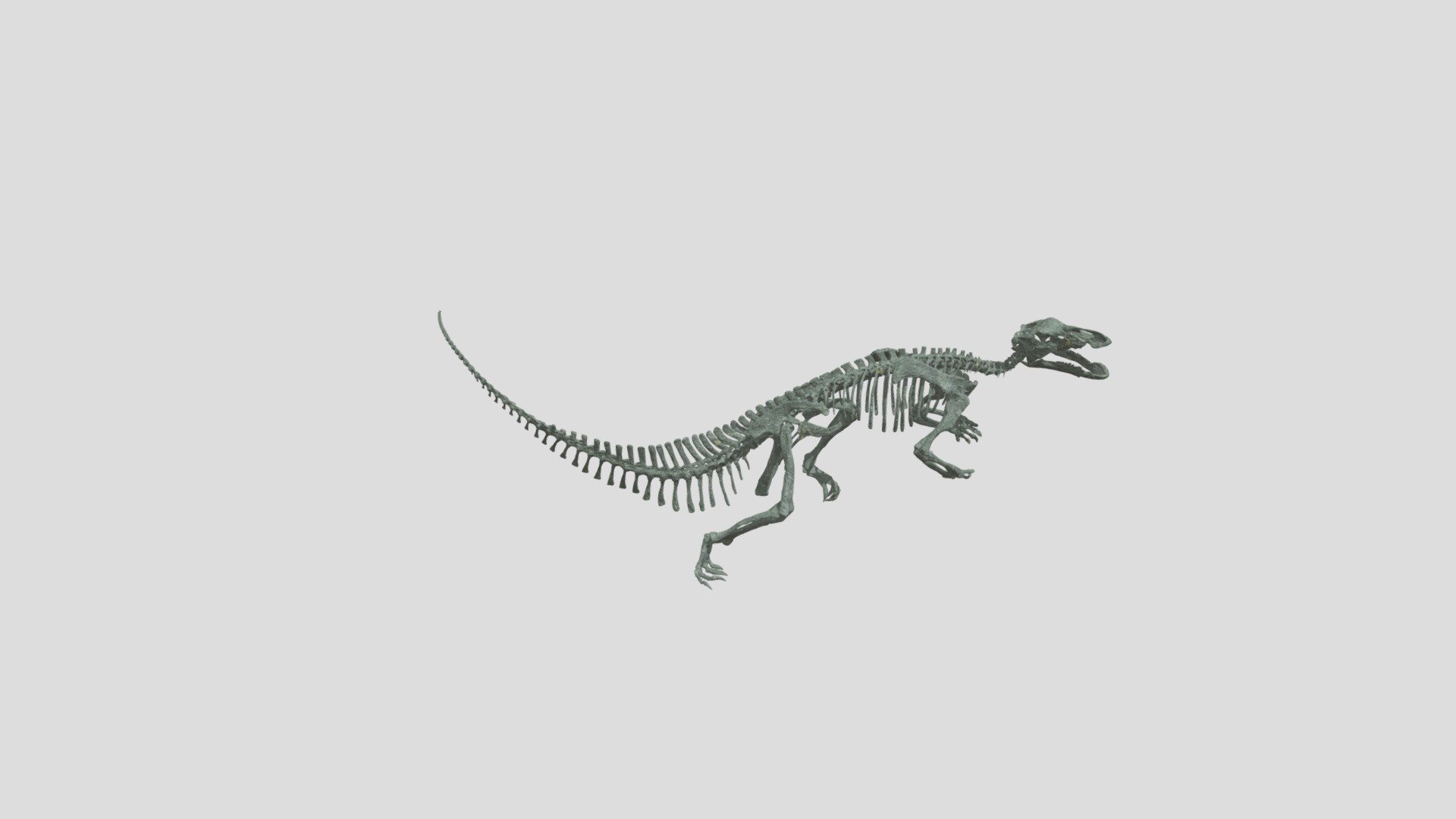 Tenontosaurus - 3D model by Mr.Fossil [5a1056f] - Sketchfab