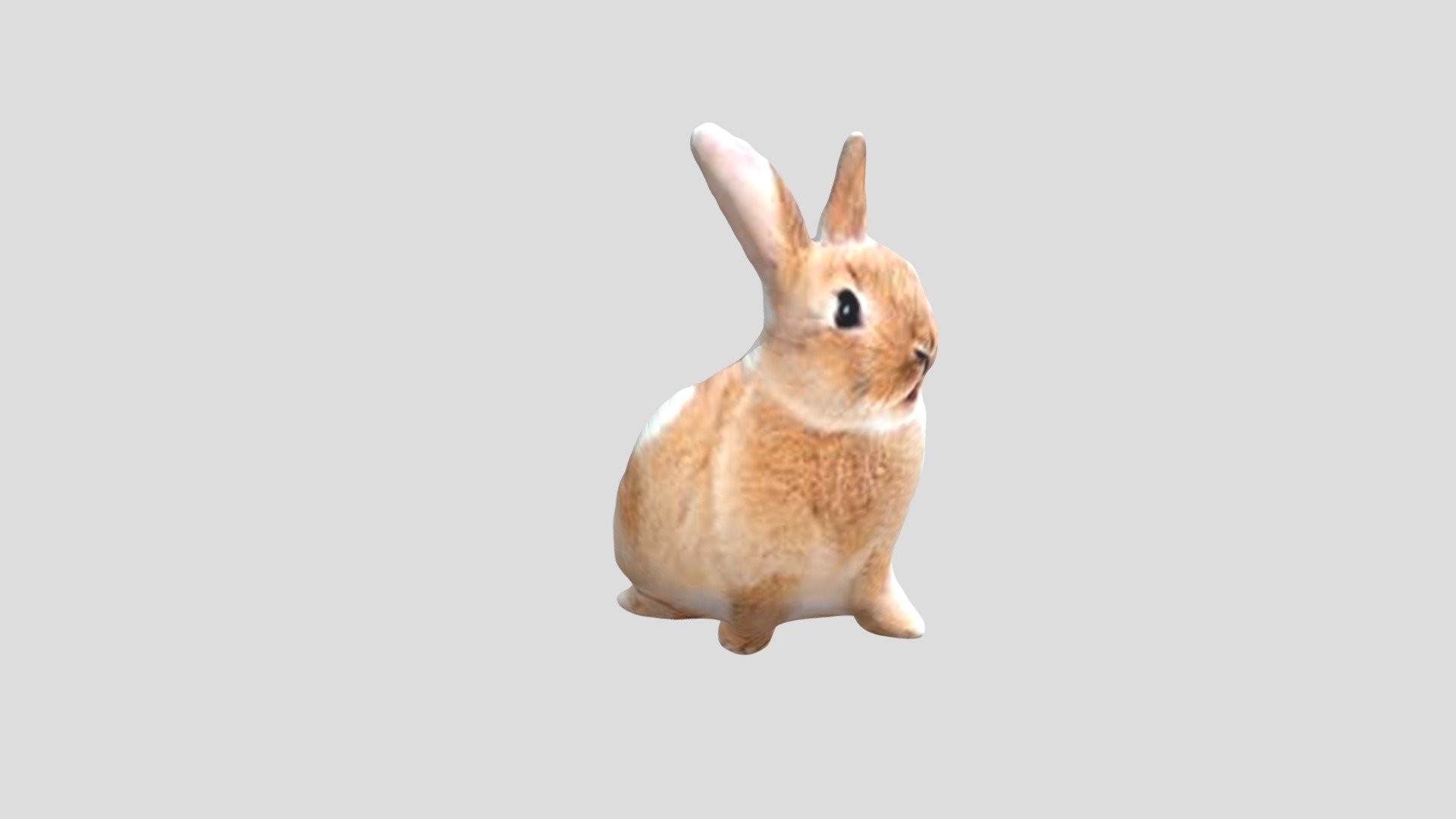 rabbit - 3D model by 410737117 [5a17ddf] - Sketchfab