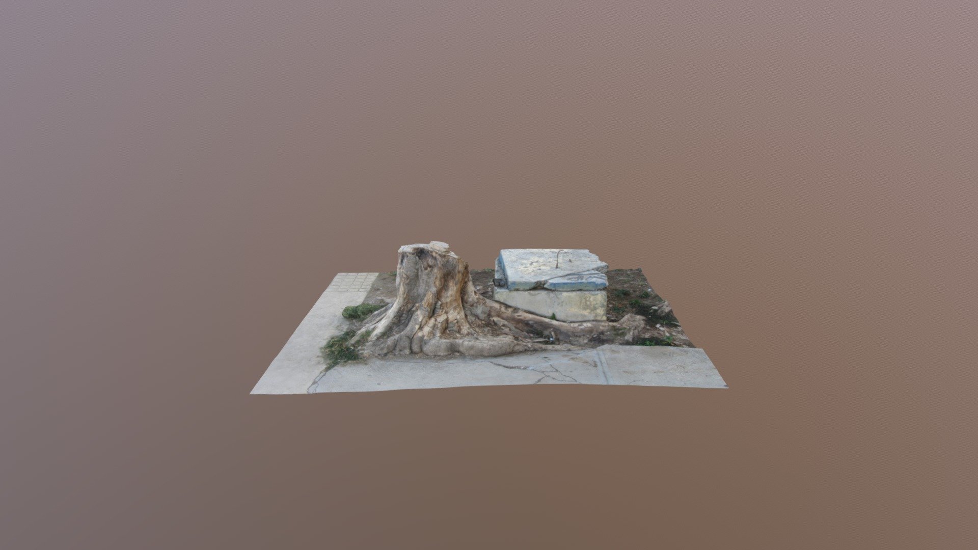 TRONCO (PS) - 3D model by Roger.Sanchez.Medina [5a1bd66] - Sketchfab