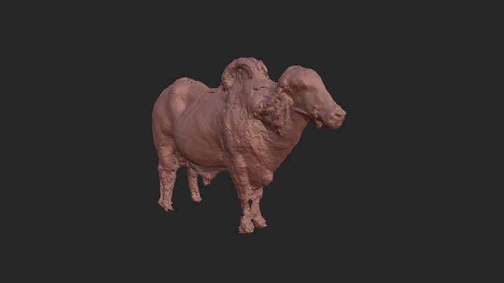 KmiloSerrano.com (@easyweb) - Sketchfab
