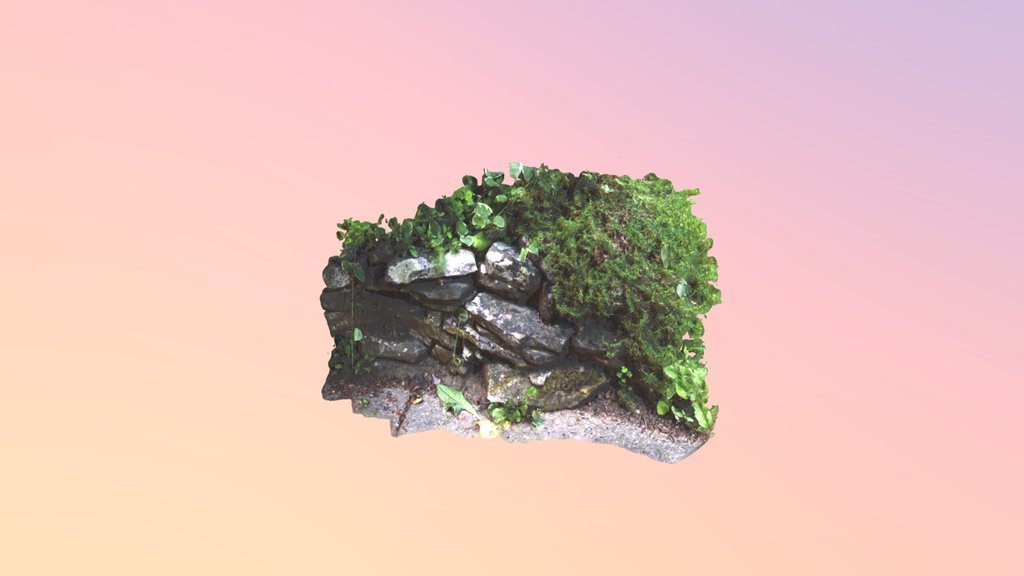 moss - A 3D model collection by baxterbaxter - Sketchfab