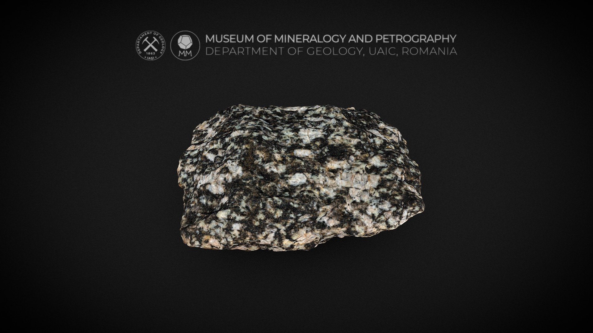 Granite with amphiboles (igneous rock) - 3D model by Museum of ...
