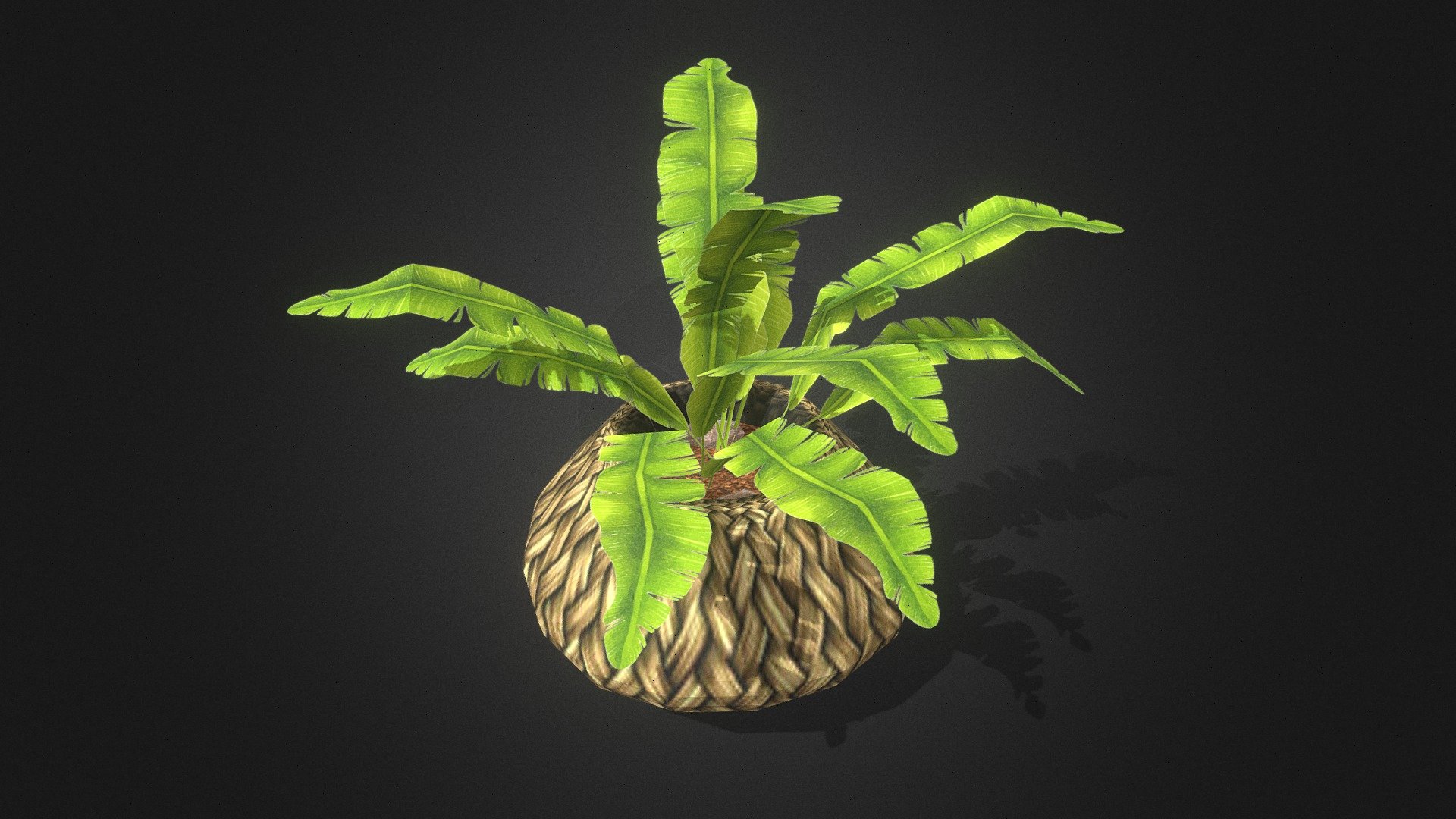 Plant [textured] - 3D model by liz.t (@lisatopalova) [5a26ec3] - Sketchfab