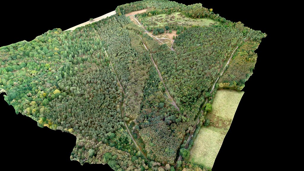 map p5 - A 3D model collection by Liver96Q (@3brother089) - Sketchfab