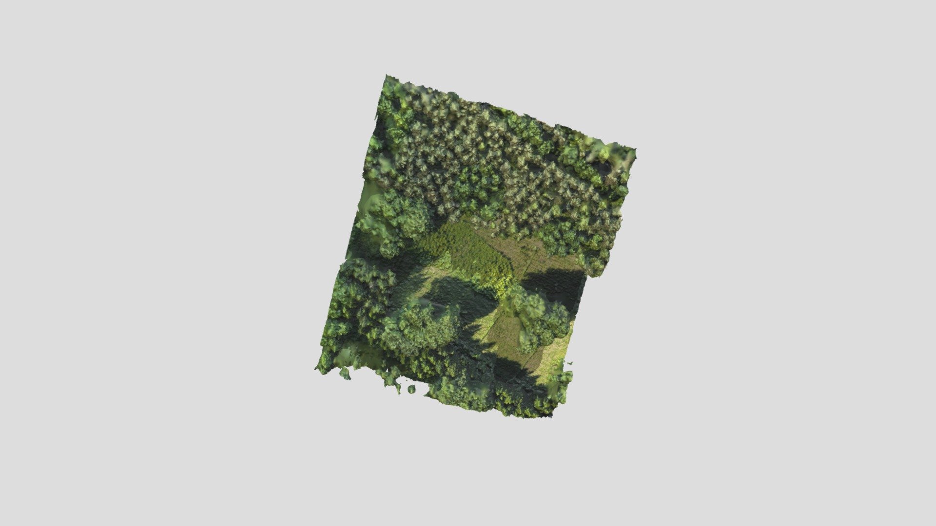 Forest - Download Free 3D model by VietDucNg [5a3619a] - Sketchfab