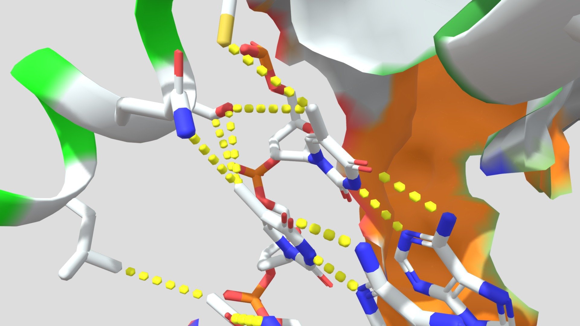ZFP568 protein-nucleotide binding analysis - 3D model by xliu3525 ...