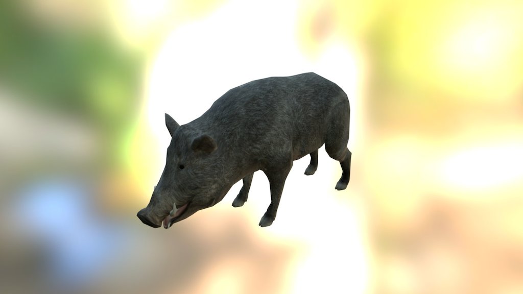 BOAR - 3D model by louis_fourie [5a40656] - Sketchfab