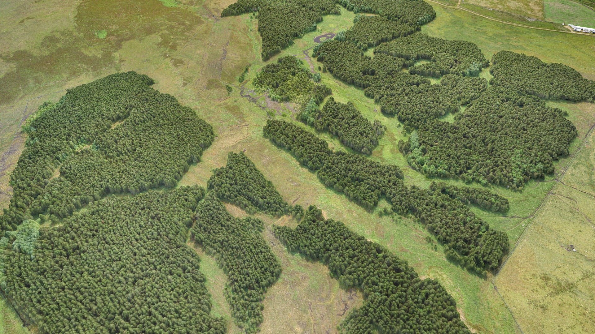 Ackron Mixed & Native Woodland - 3D model by GeoGeo [5a4132b] - Sketchfab