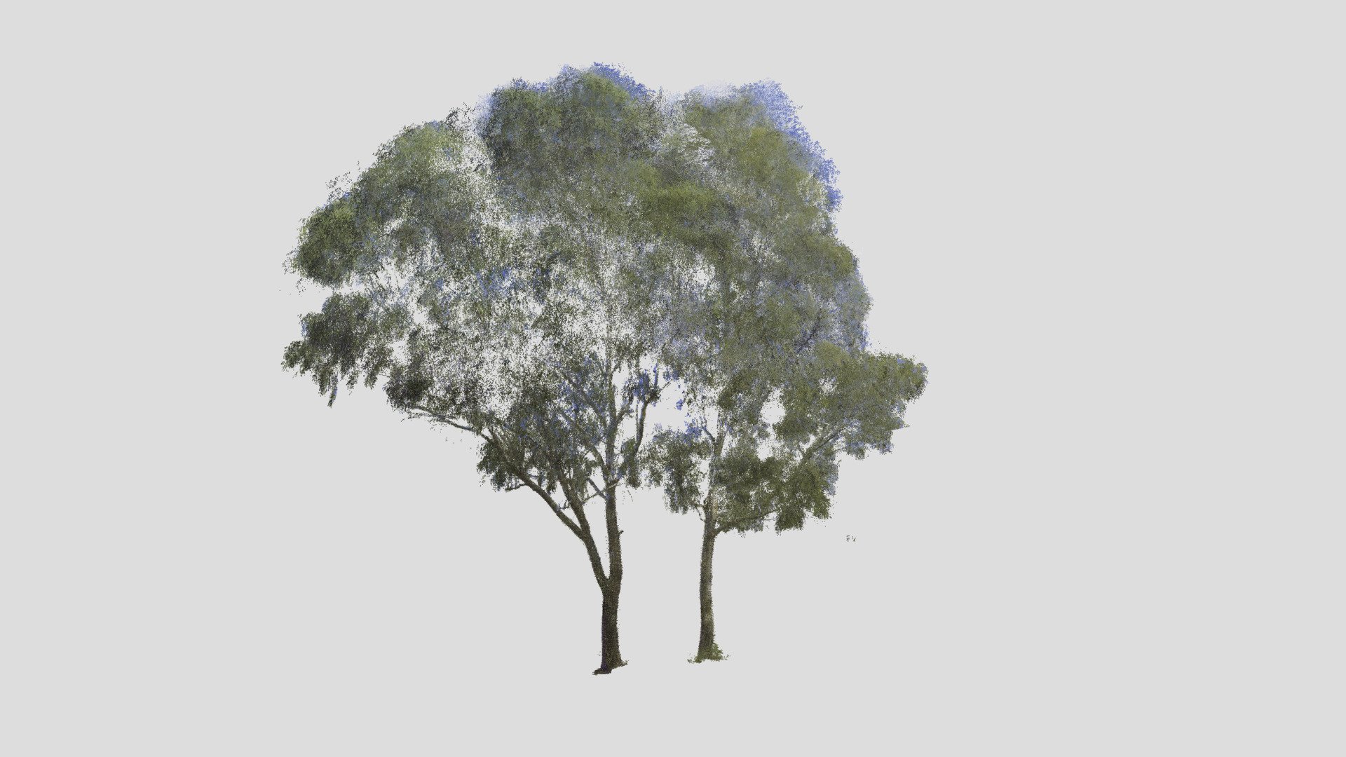 Tree Point Cloud - Buy Royalty Free 3D model by magnum_opus (@tree ...