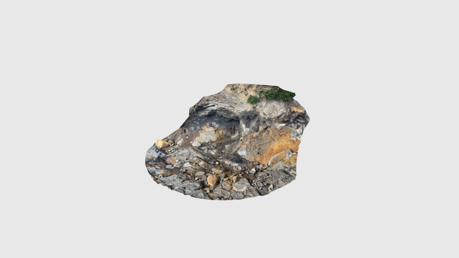Helmsdale 5 (in situ tree fossil) - Download Free 3D model by Safaridb ...