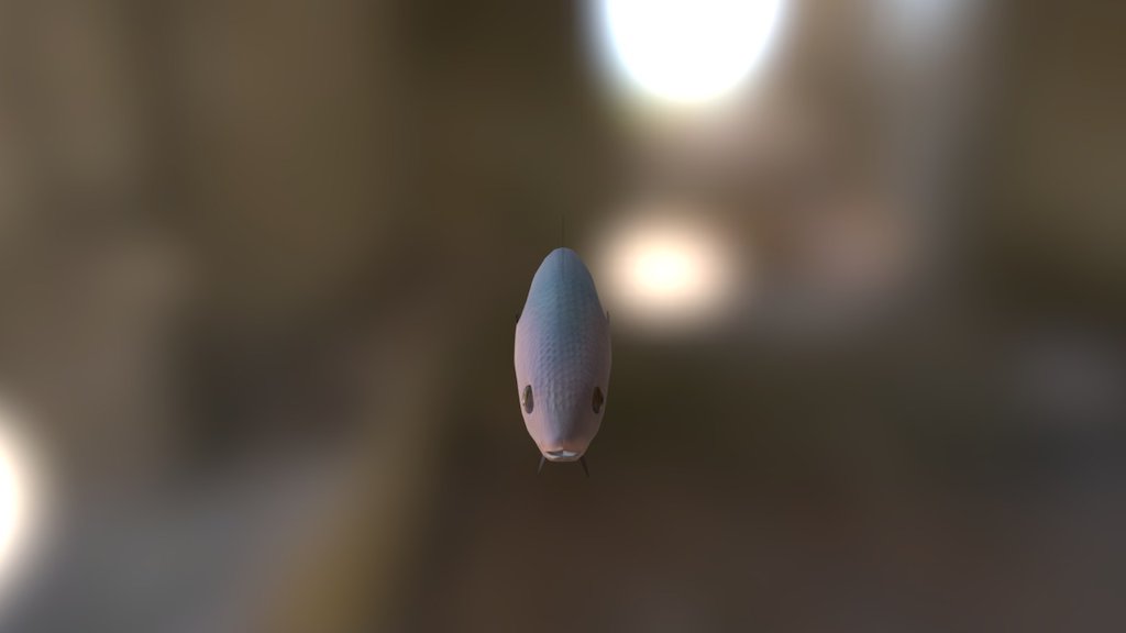 CommonDentex - 3D model by thesosoeverything [5a5eef3] - Sketchfab