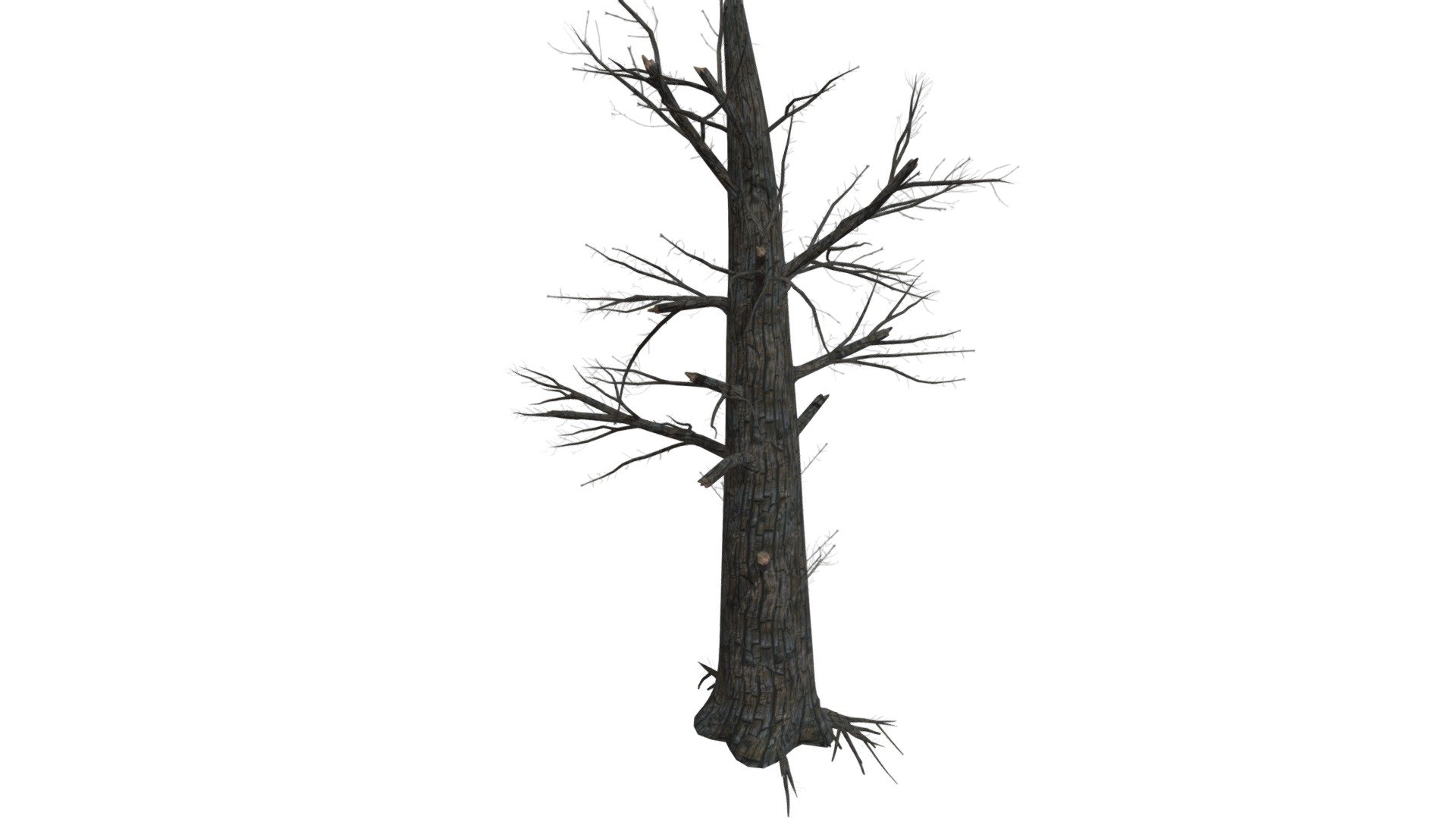 Burnt Tree #03 - 3D model by meshshape [5a66195] - Sketchfab