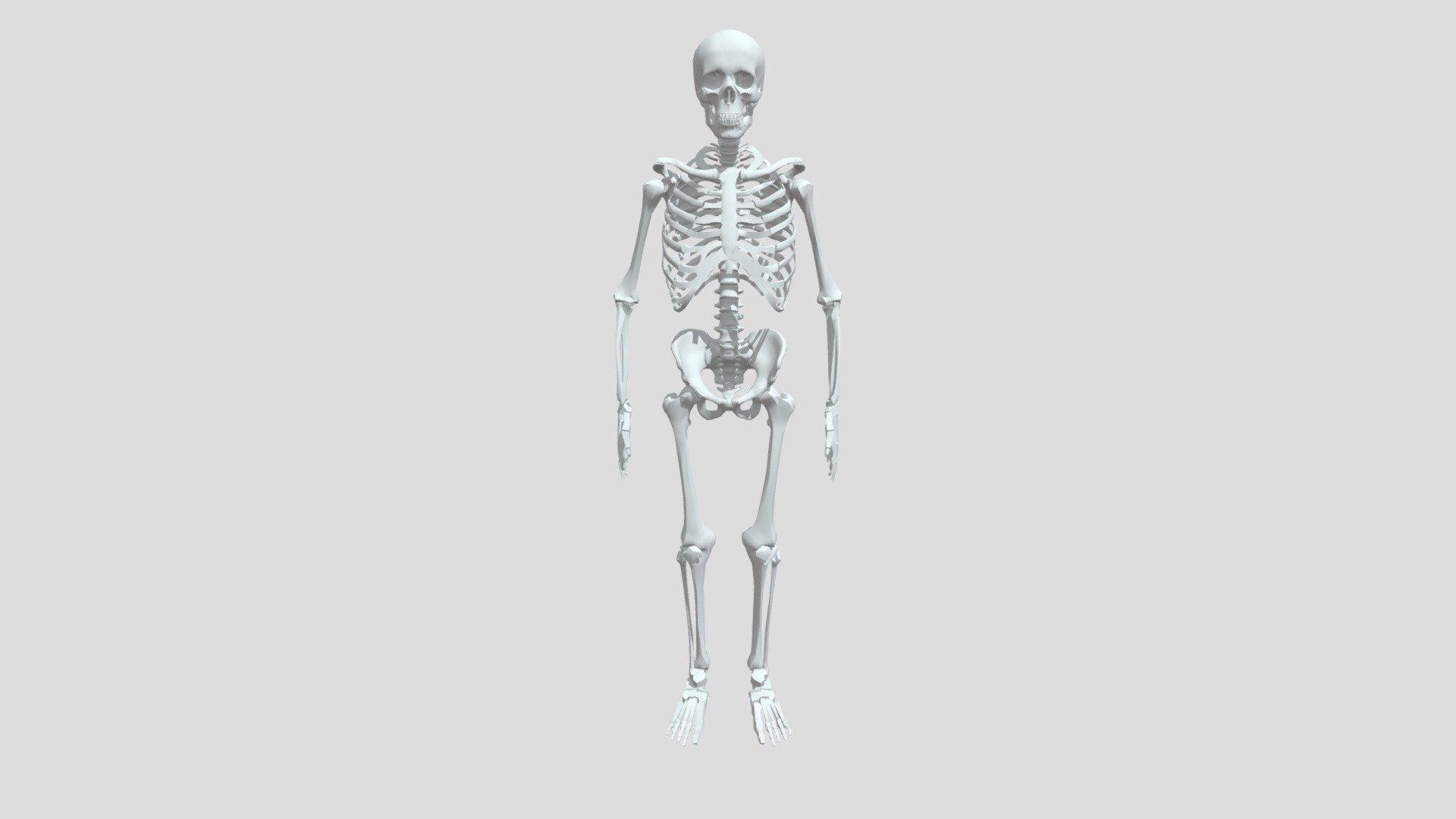 Skeleton idk lol - Download Free 3D model by Olliesub103 [5a6a277 ...