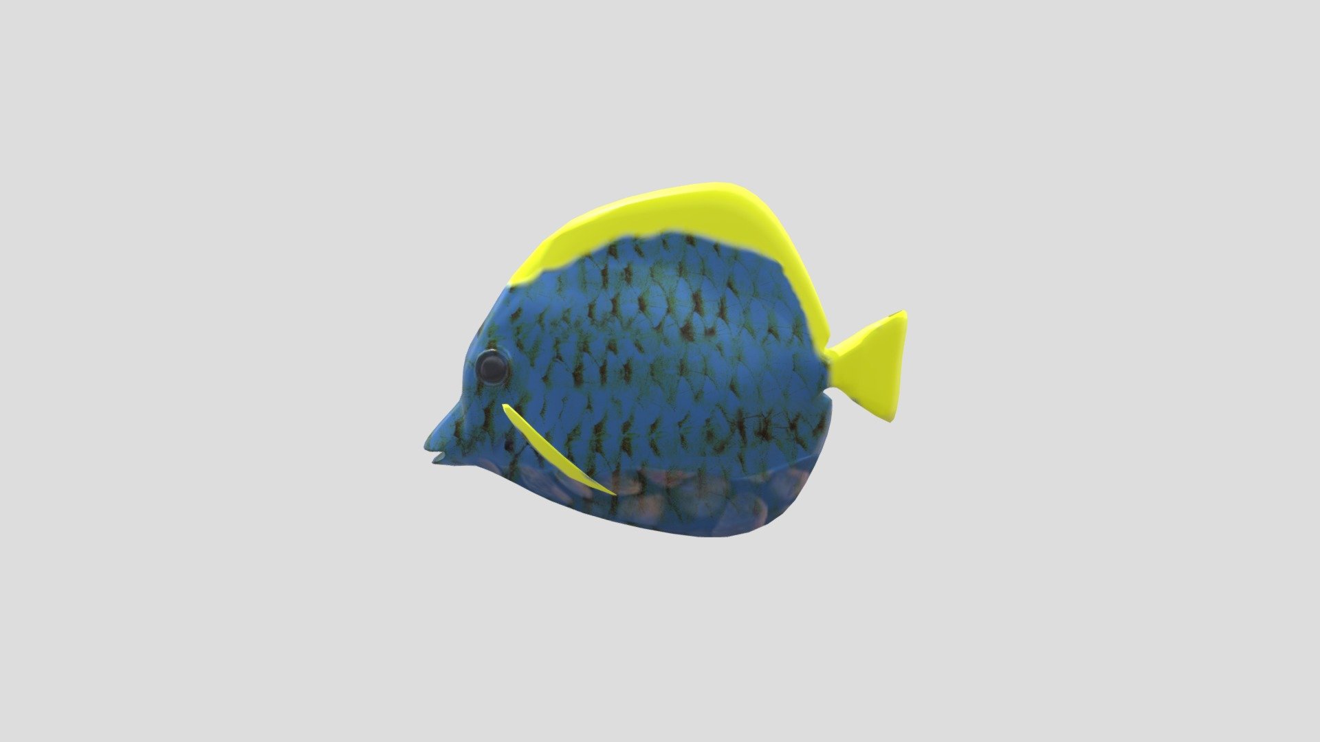 fish - Download Free 3D model by Jacob Godwin (@JacobGodwin) [5a6d455 ...
