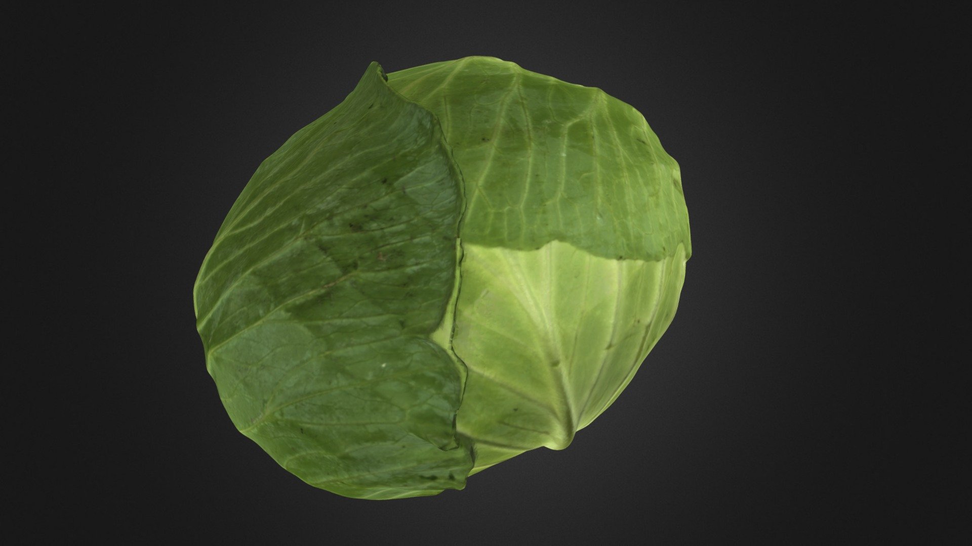 The Cabbage - 3D model by amazingdesign [5a81745] - Sketchfab