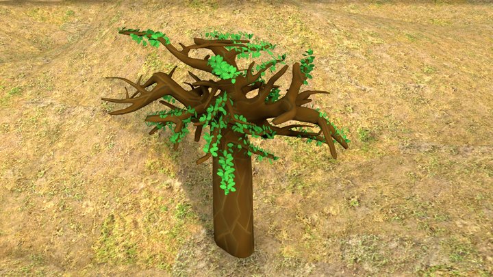 African-tree 3D models - Sketchfab