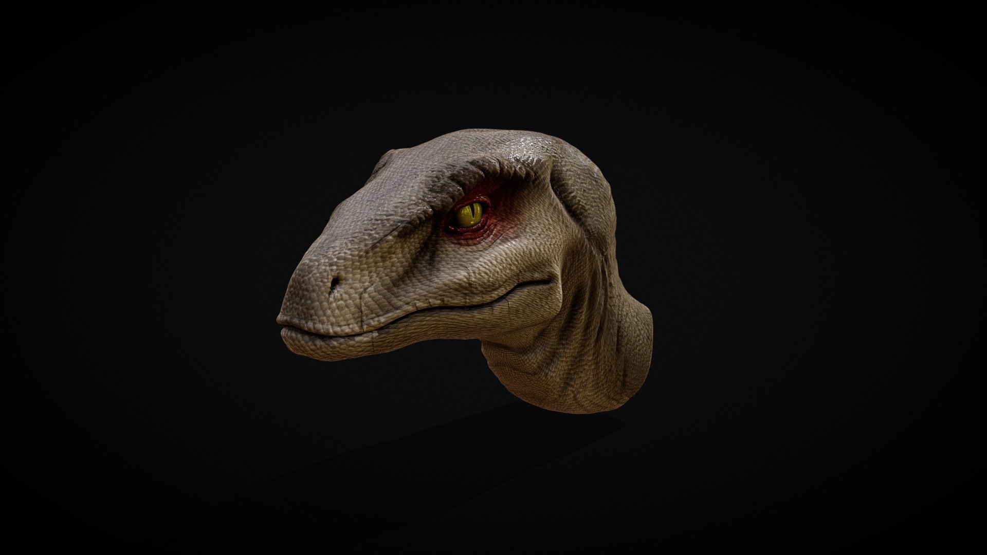 Raptor head sculp - 3D model by Bodark [5a89fb0] - Sketchfab