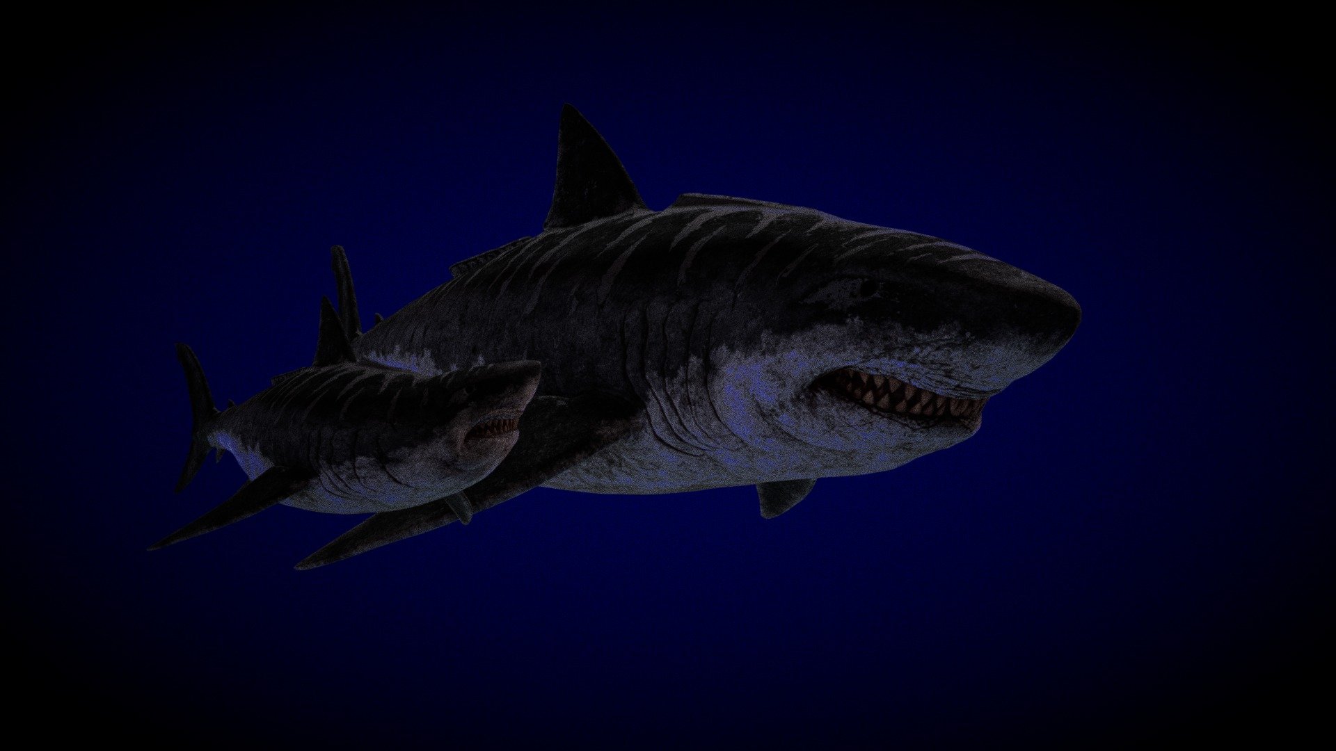 Megalodon and her pup - 3D model by BlazerWolfy [5a8d387] - Sketchfab