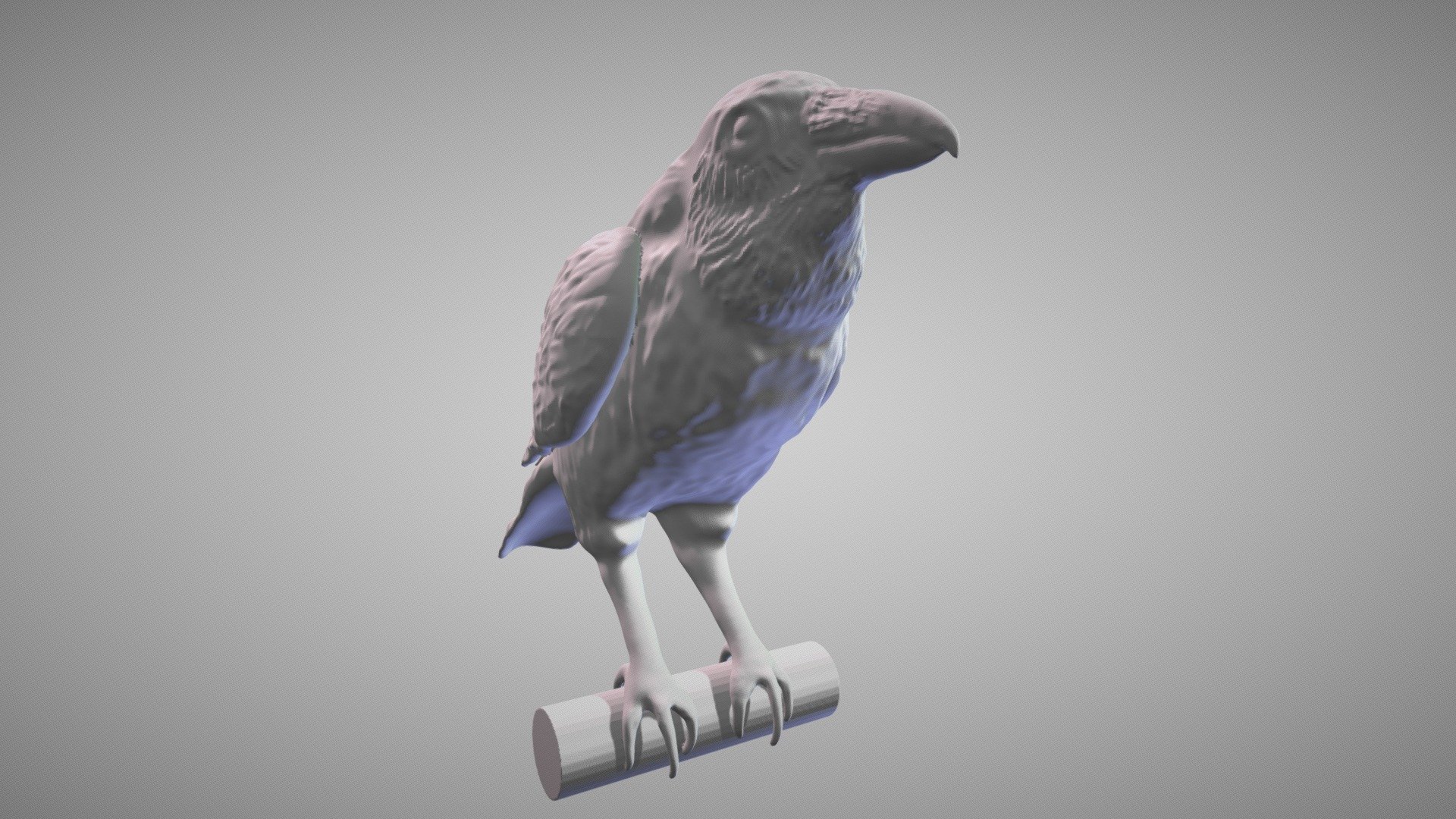 Raven Sculpt - Download Free 3D model by Greebly_ [5a948da] - Sketchfab