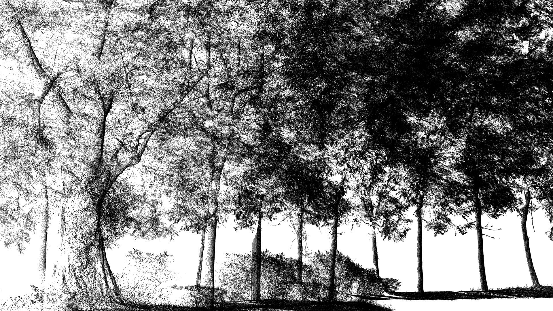 tree point cloud3 - Buy Royalty Free 3D model by Deeper ...